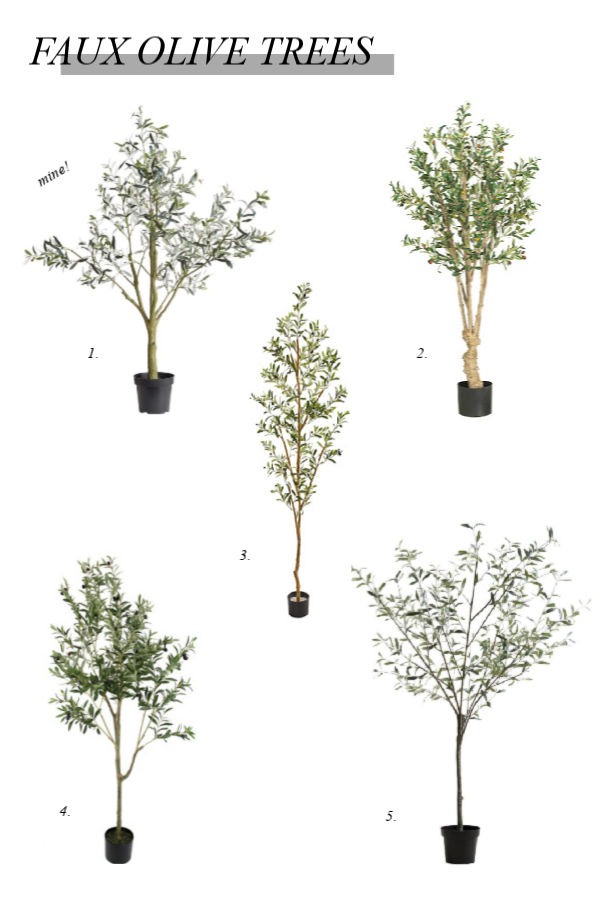Faux Olive Tree - Crazy Wonderful