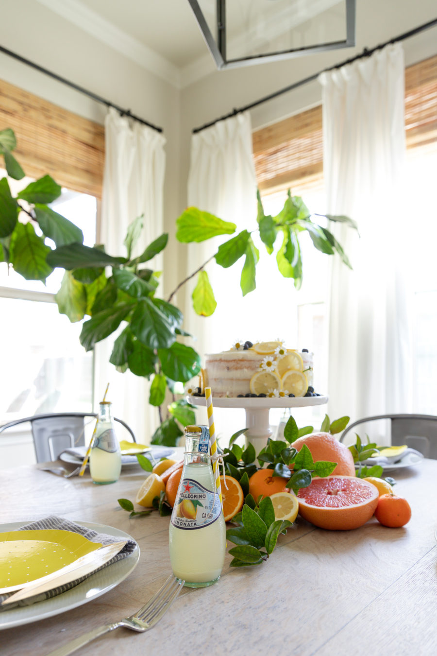 Citrus Birthday Party - Crazy Wonderful