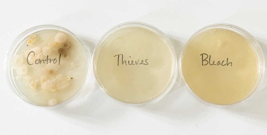 Cleaning the Kitchen - Crazy Wonderful